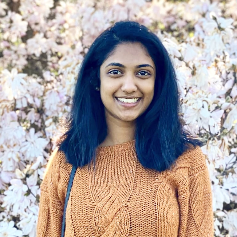 Lavanya Natchiappan's Professional Portfolio